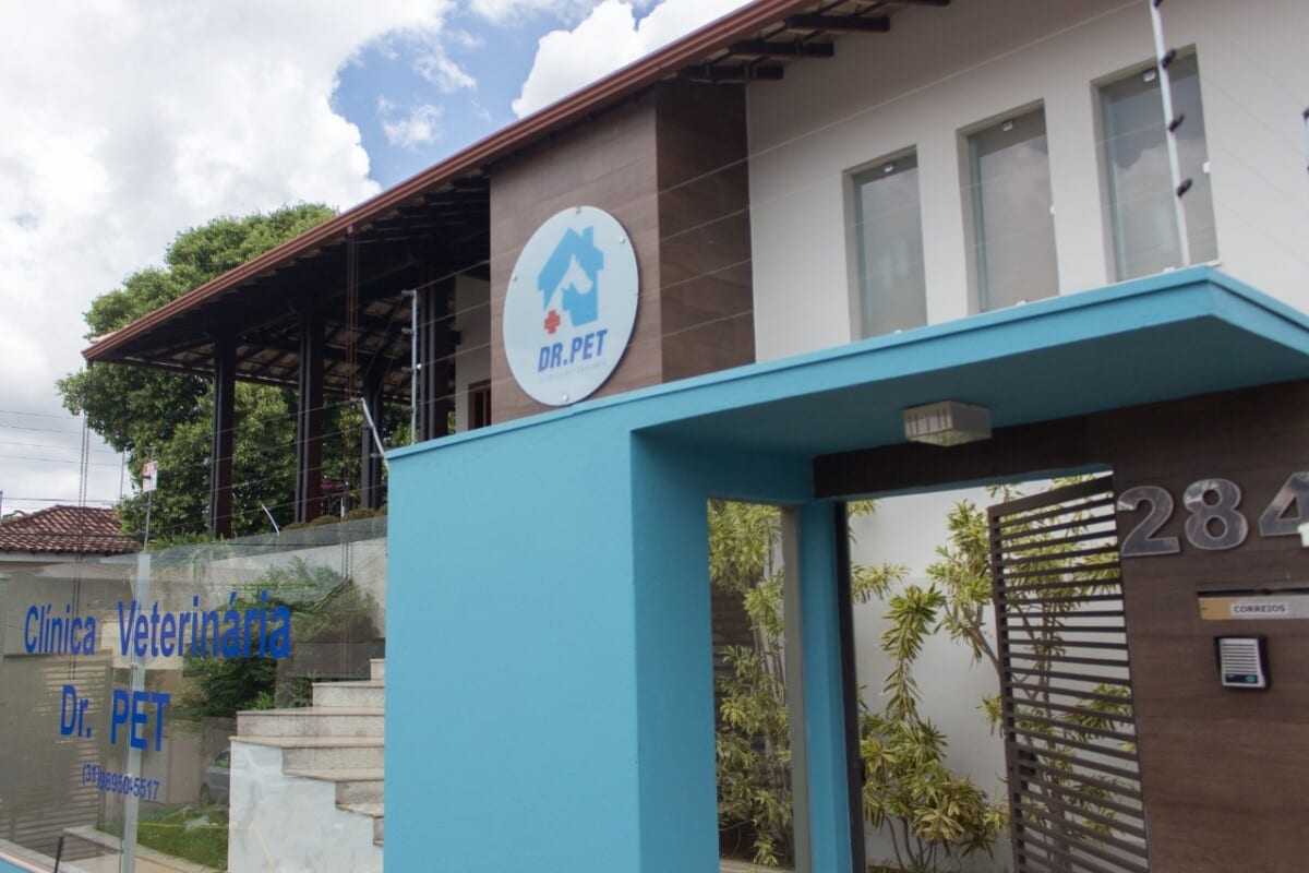 Dr. Pet: três anos de inovação e pioneirismo no cuidado com a saúde dos ...