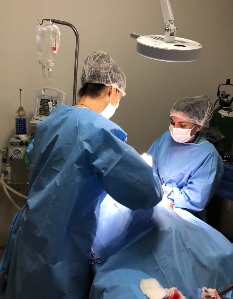 Dr. Pet: três anos de inovação e pioneirismo no cuidado com a saúde dos ...