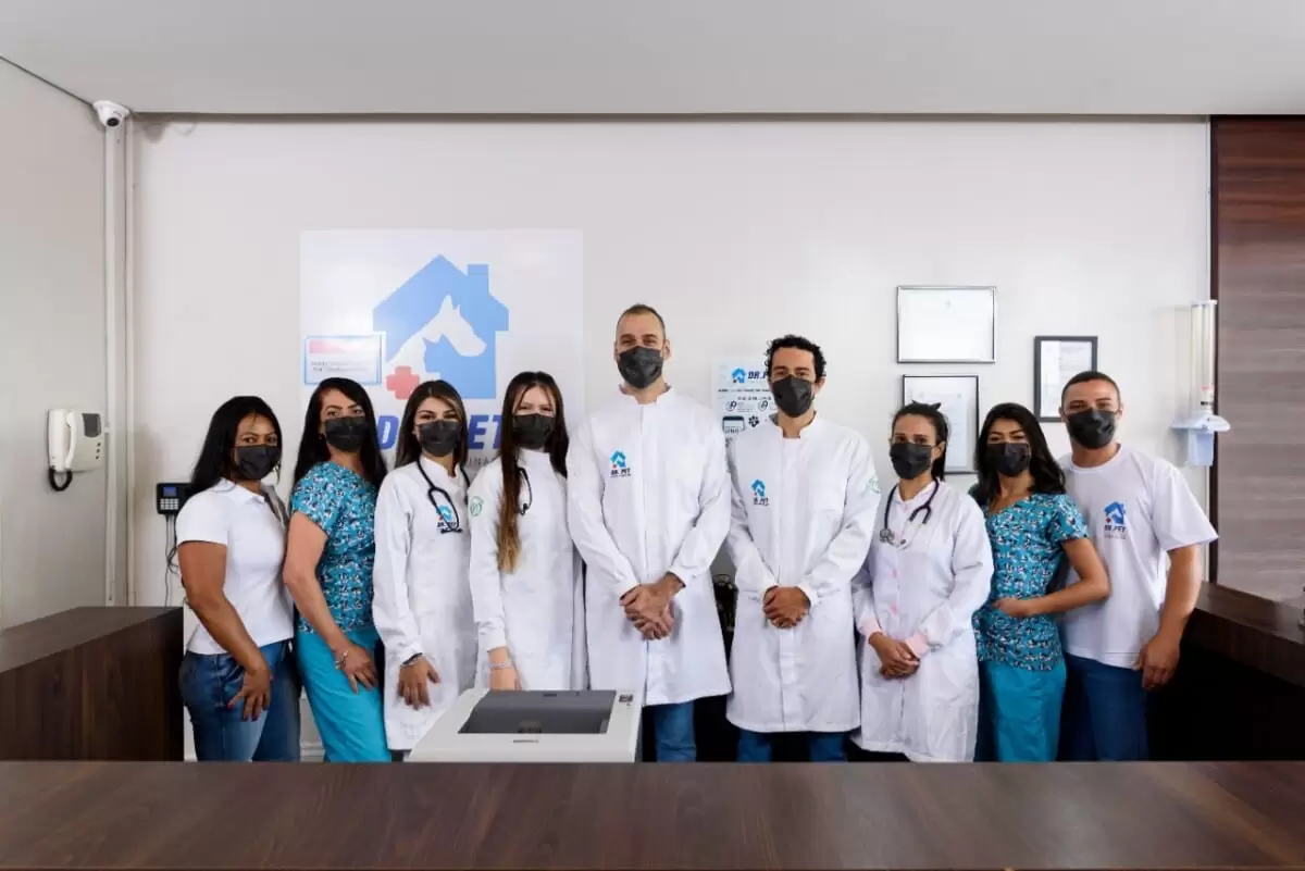 Dr. Pet: três anos de inovação e pioneirismo no cuidado com a saúde dos ...